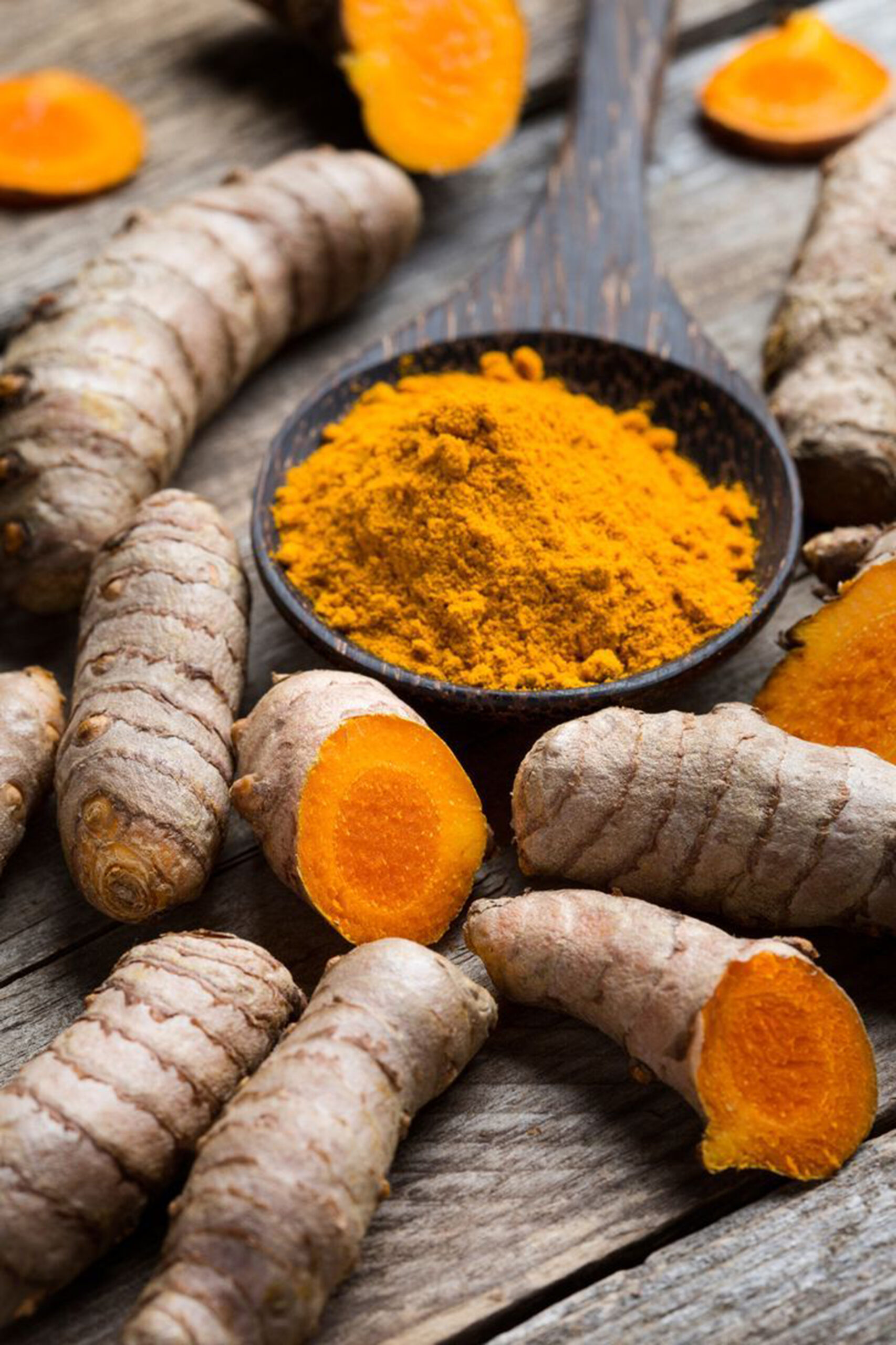 Indonesian Turmeric Powder Supplier - Pacific Agro Nusantara
